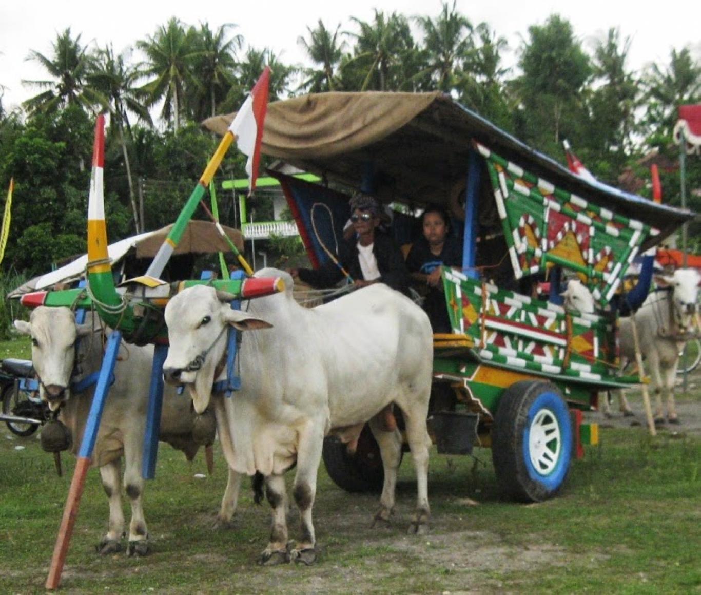 Gerobak Sapi - Website Kalurahan Mulyodadi